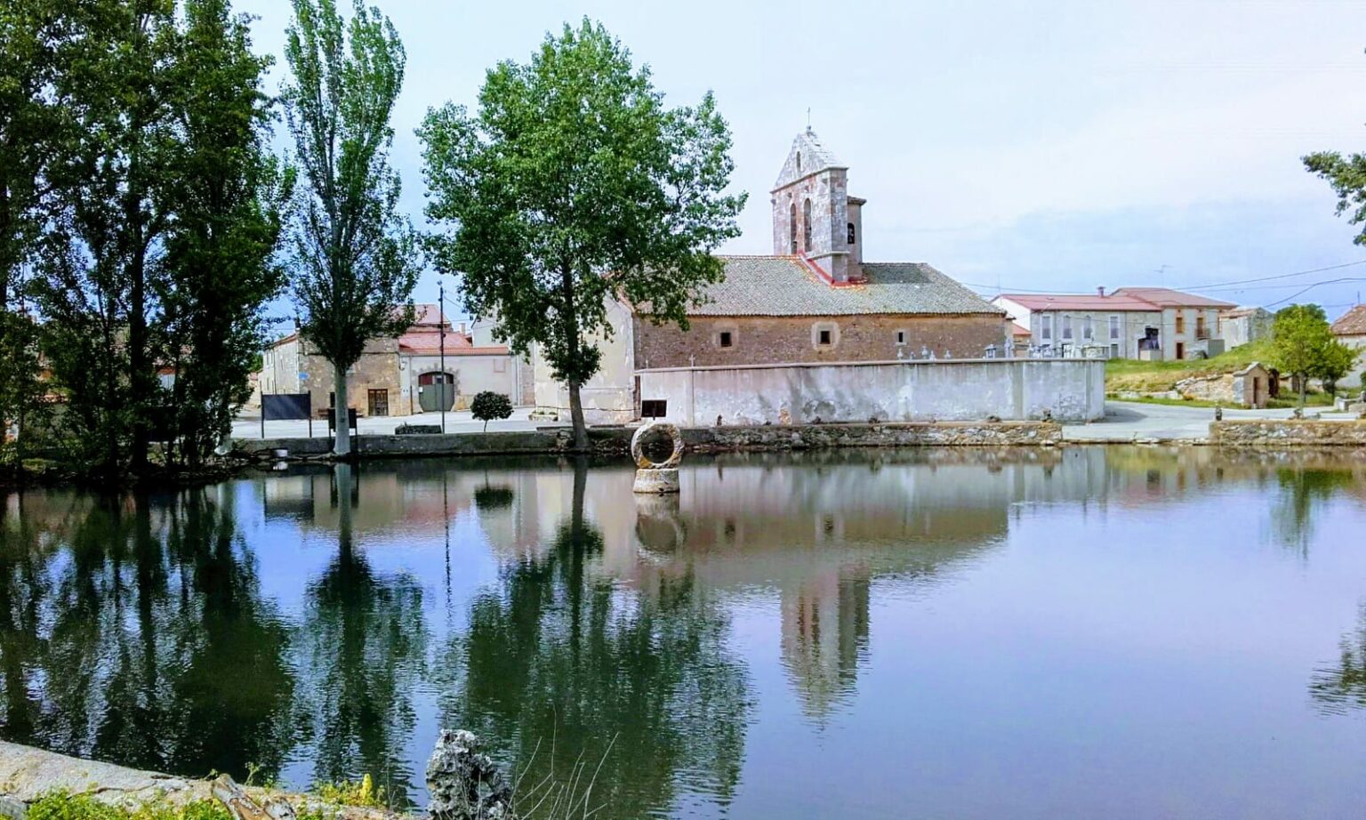 La historia detrás del logotipo VETUSTA - Vuelta al Origen